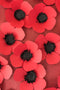 Paper Poppy Backdrop, PDF Templates – The House That Lars Built